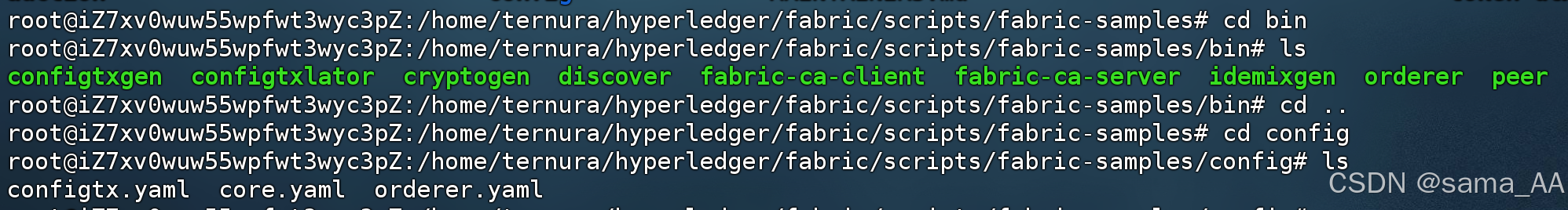 HyperLedger Fabric2.2环境搭建_hyperledger fabric搭建-CSDN博客
