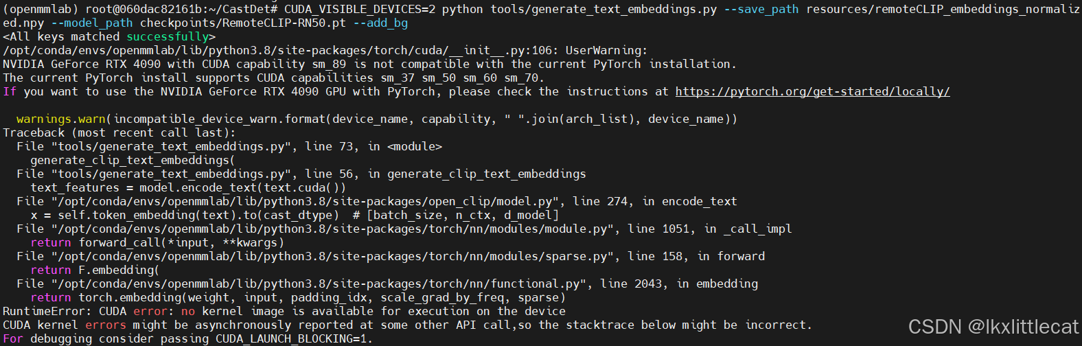 跑通CastDet代码-CSDN博客