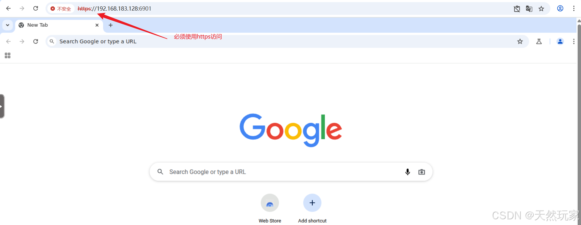 【云桌面容器KasmVNC】如何关闭SSL使用HTTP-CSDN博客