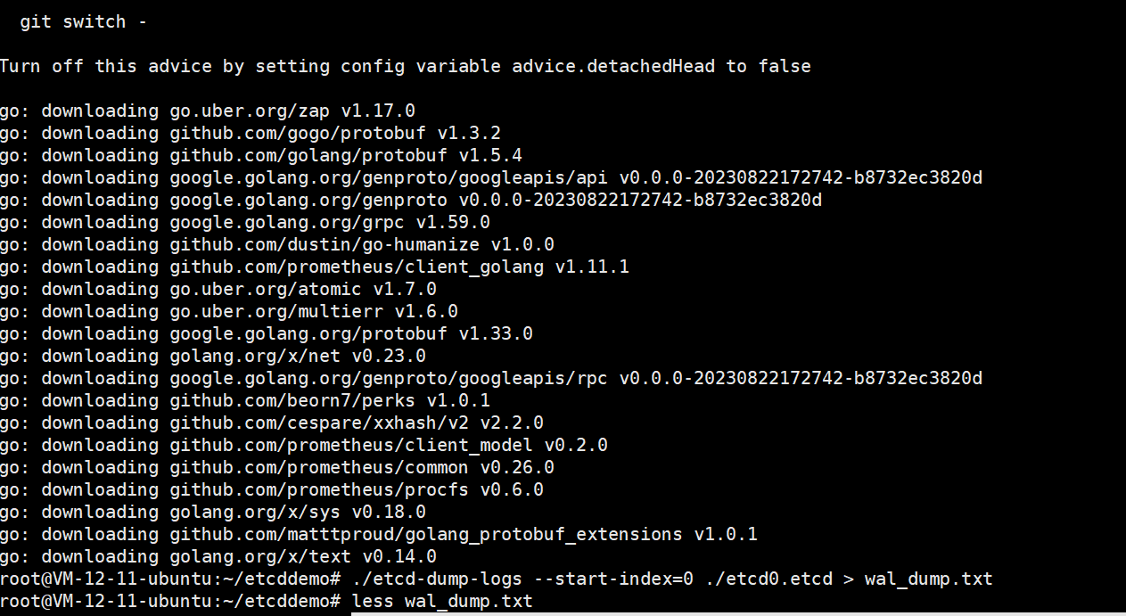 docker 部署的 etcd 集群写入数据后文件变化查看方法_docker镜像etcd查询所有数据-CSDN博客