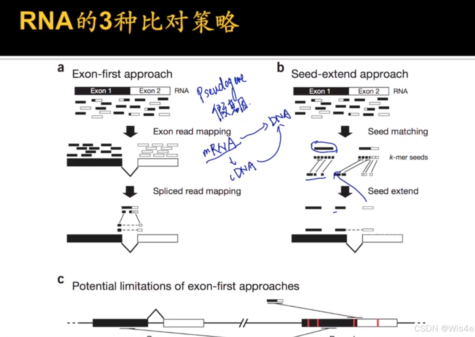 RNA-Seq分析流程_hista2-CSDN博客