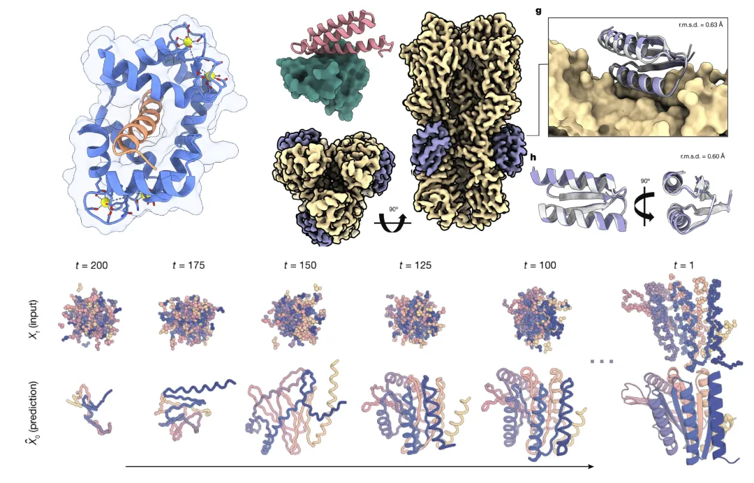 结构可视化还在用PyMOL？顶刊都在用ChimeraX了-CSDN博客