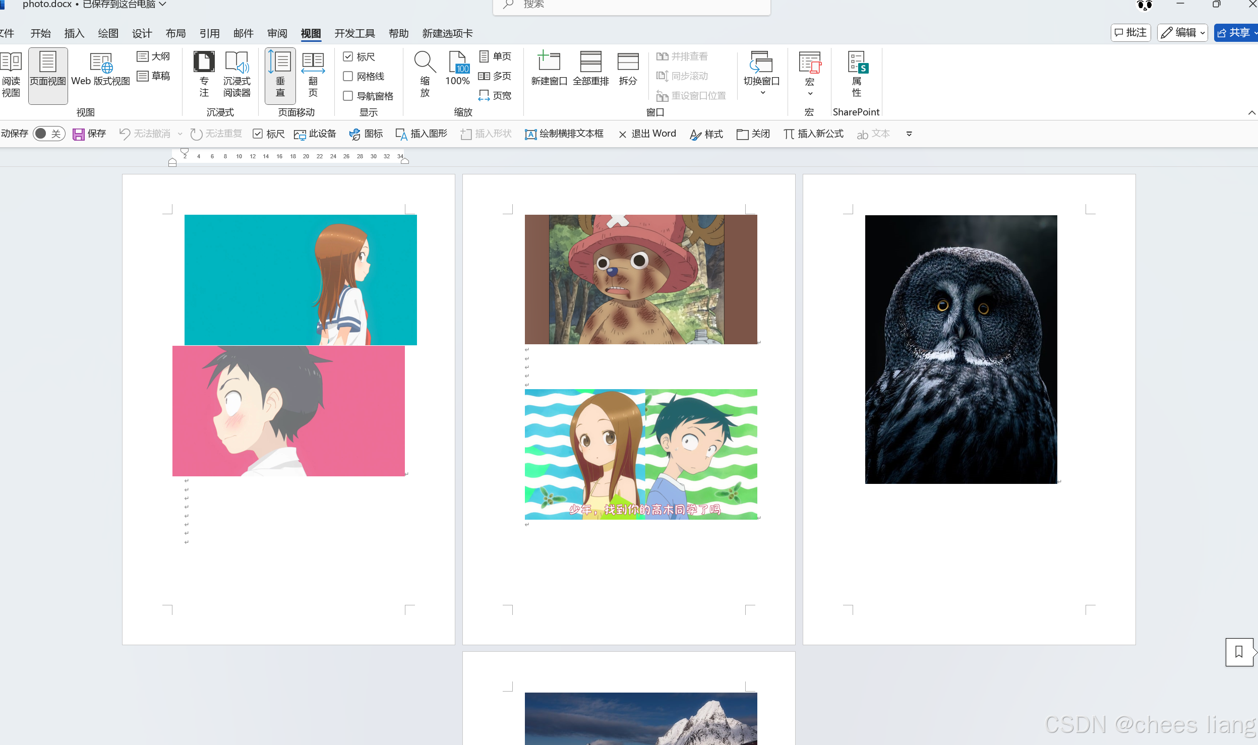 如何使用python将word中的图片进行导出_spire.doc 获取word里的图片-CSDN博客