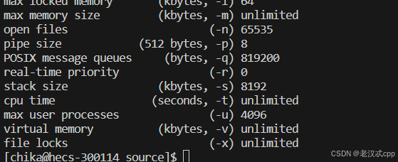 Linux高并发服务器测试_怎么测试muduo库的性能-CSDN博客