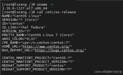 Linux服务器上搭建Docker（以CentOS为例）_linux centos docker-CSDN博客