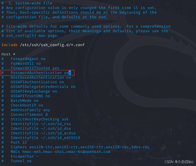 如何通过MobaXterm远程连接kali-linux_mobaxterm连接kali-CSDN博客