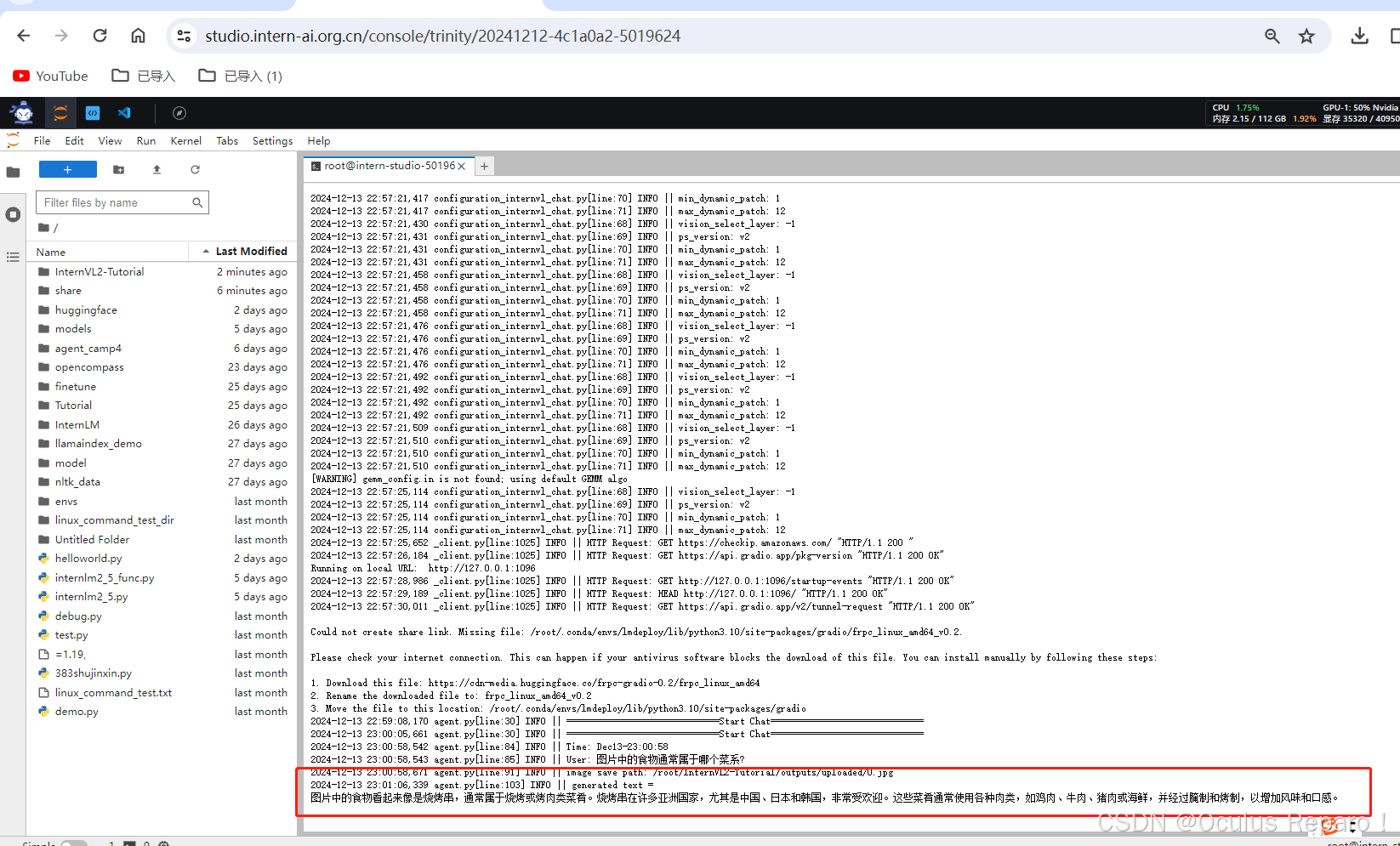 InternVL 部署微调实践_internvl github-CSDN博客