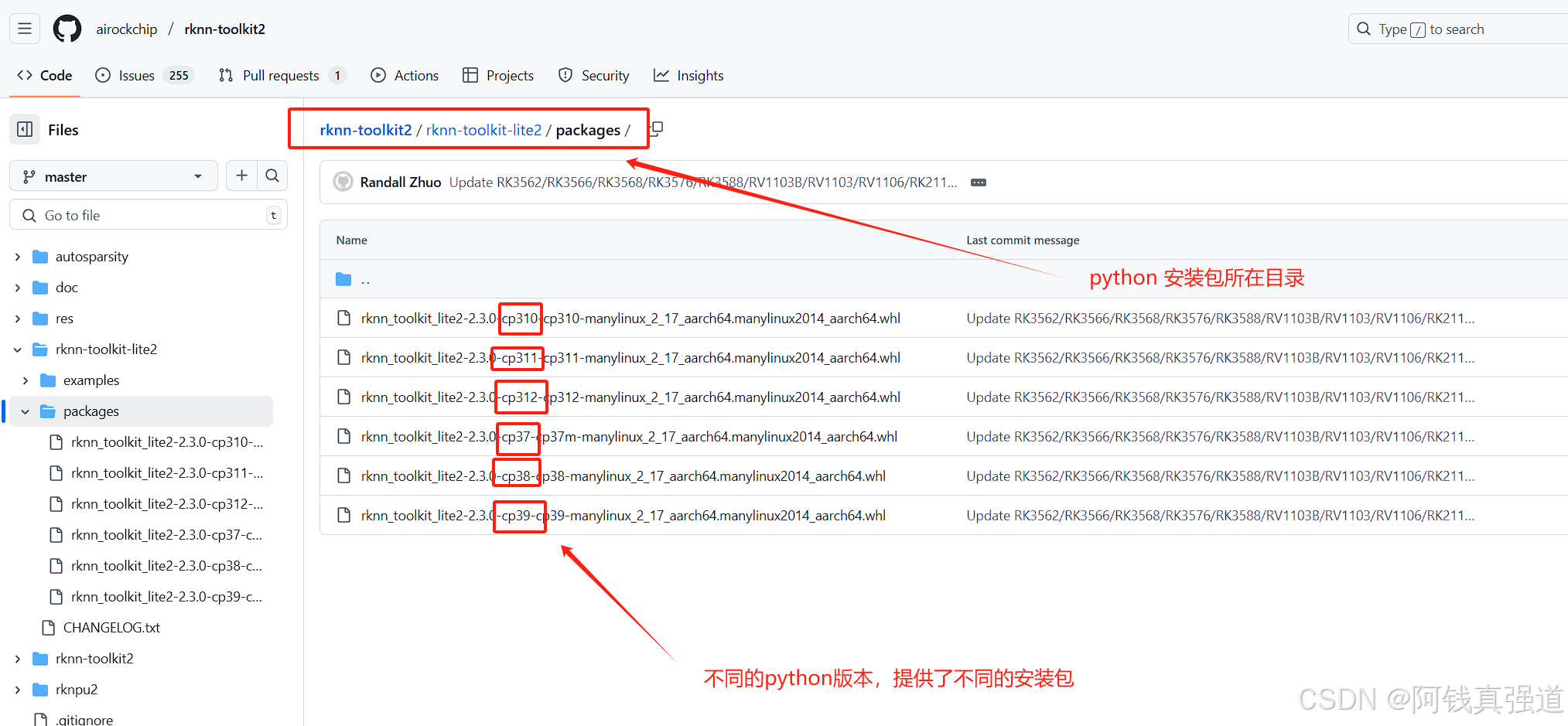 rk3588 更新推理库，安装python rknn-toolkit-lite2 推理环境_更新rknn库-CSDN博客