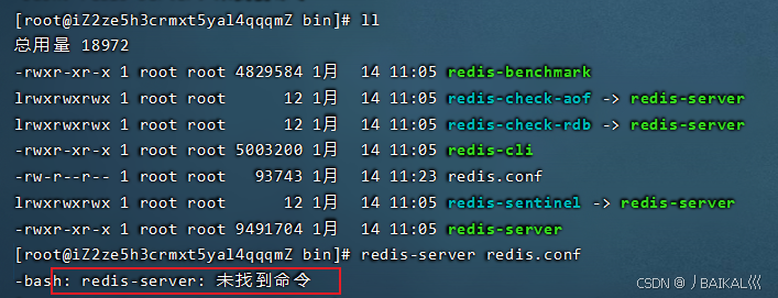 Linux安装redis_redis-6.2.5.tar.gz-CSDN博客