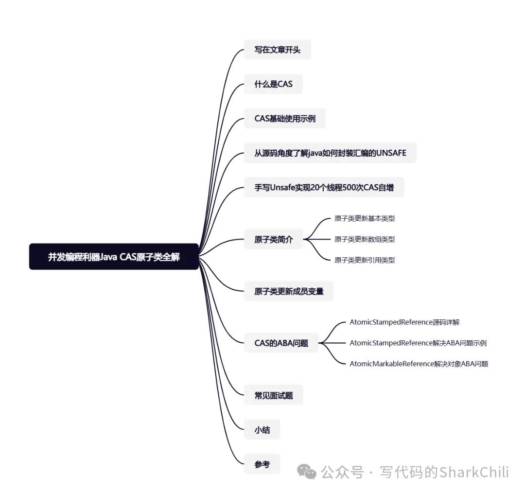 并发编程利器Java CAS原子类全解_java中cas的类有哪些-CSDN博客