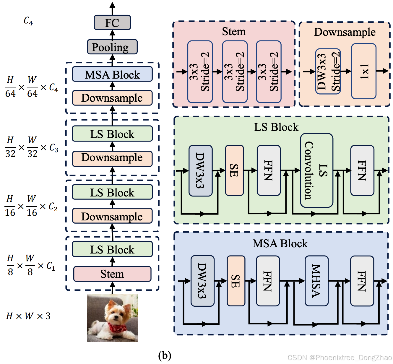 新的轻量级模型 LSNet: 见大聚小（See Large, Focus Small） CVPR 2025-CSDN博客