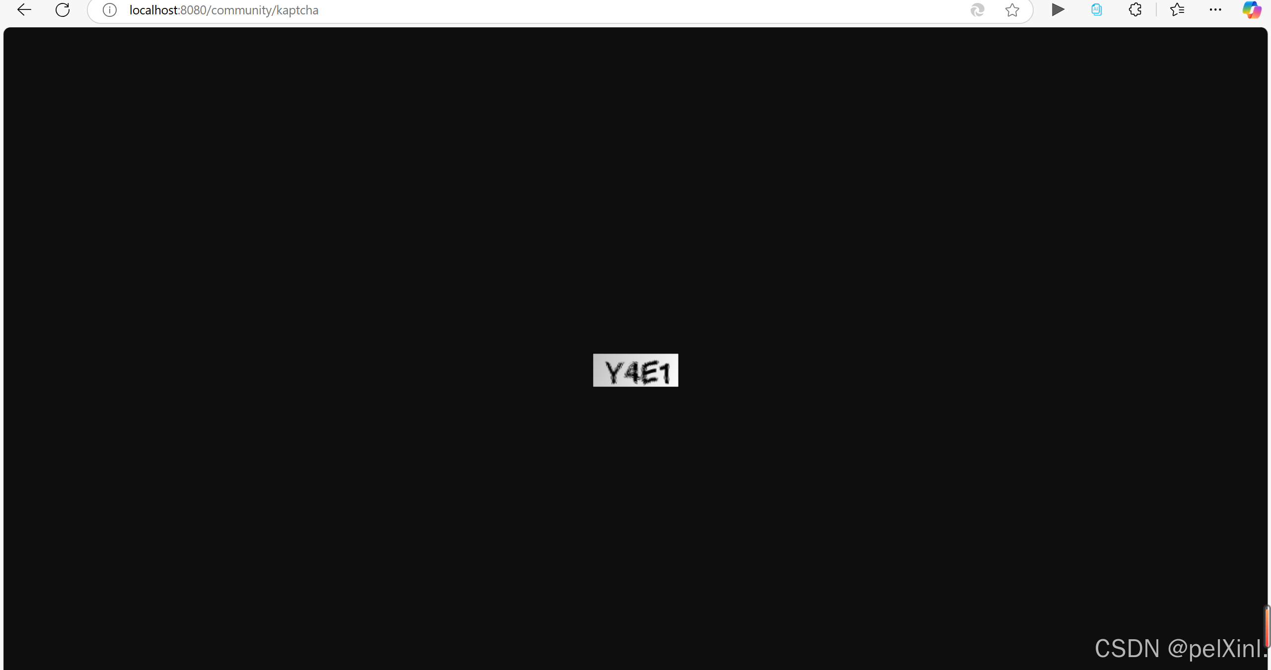 仿nowcoder论坛验证码无法正常生成原因-CSDN博客