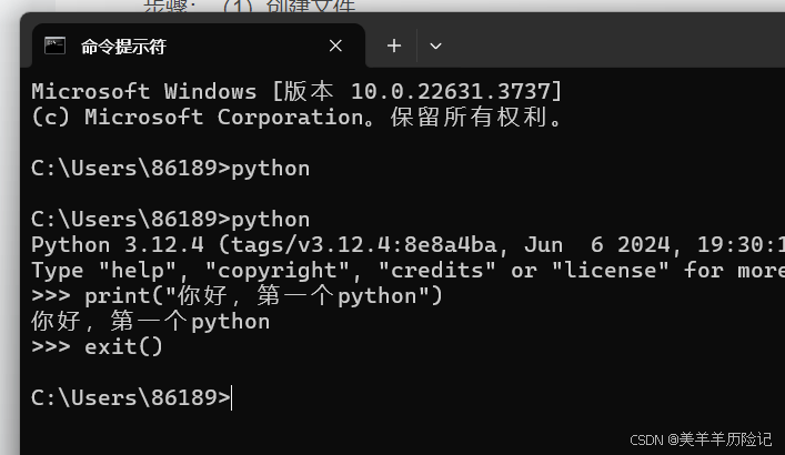 Notepad写pythonnotepad怎么写python Csdn博客