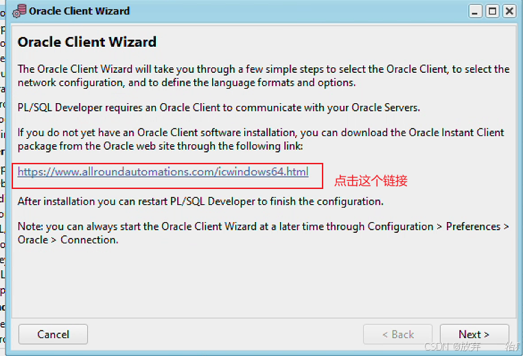 Windows 11 系统 Oracle PLSQL 工具（PL/SQL Developer 最新版本）完整安装与配置教程_plsql安装教程及配置oracle-CSDN博客