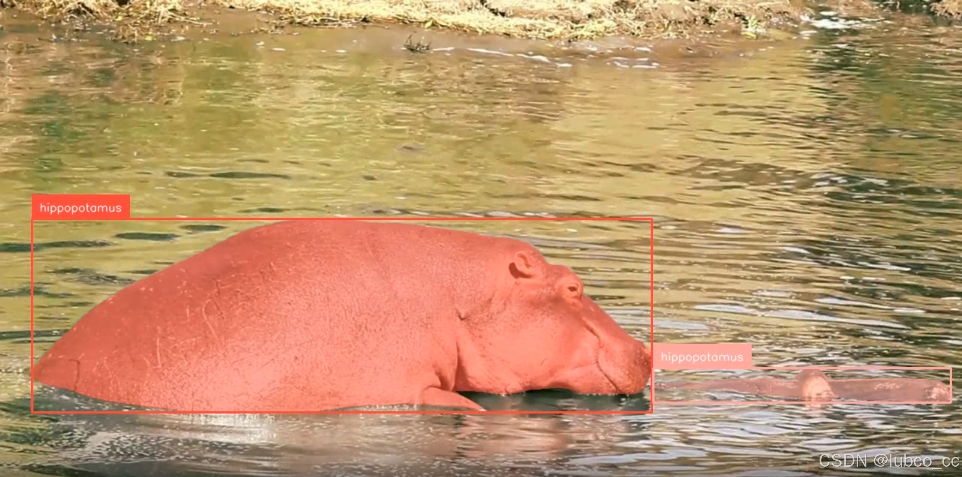 Grounded SAM 2 实现开放世界集的多目标跟踪 Linux配置_groundsam-CSDN博客