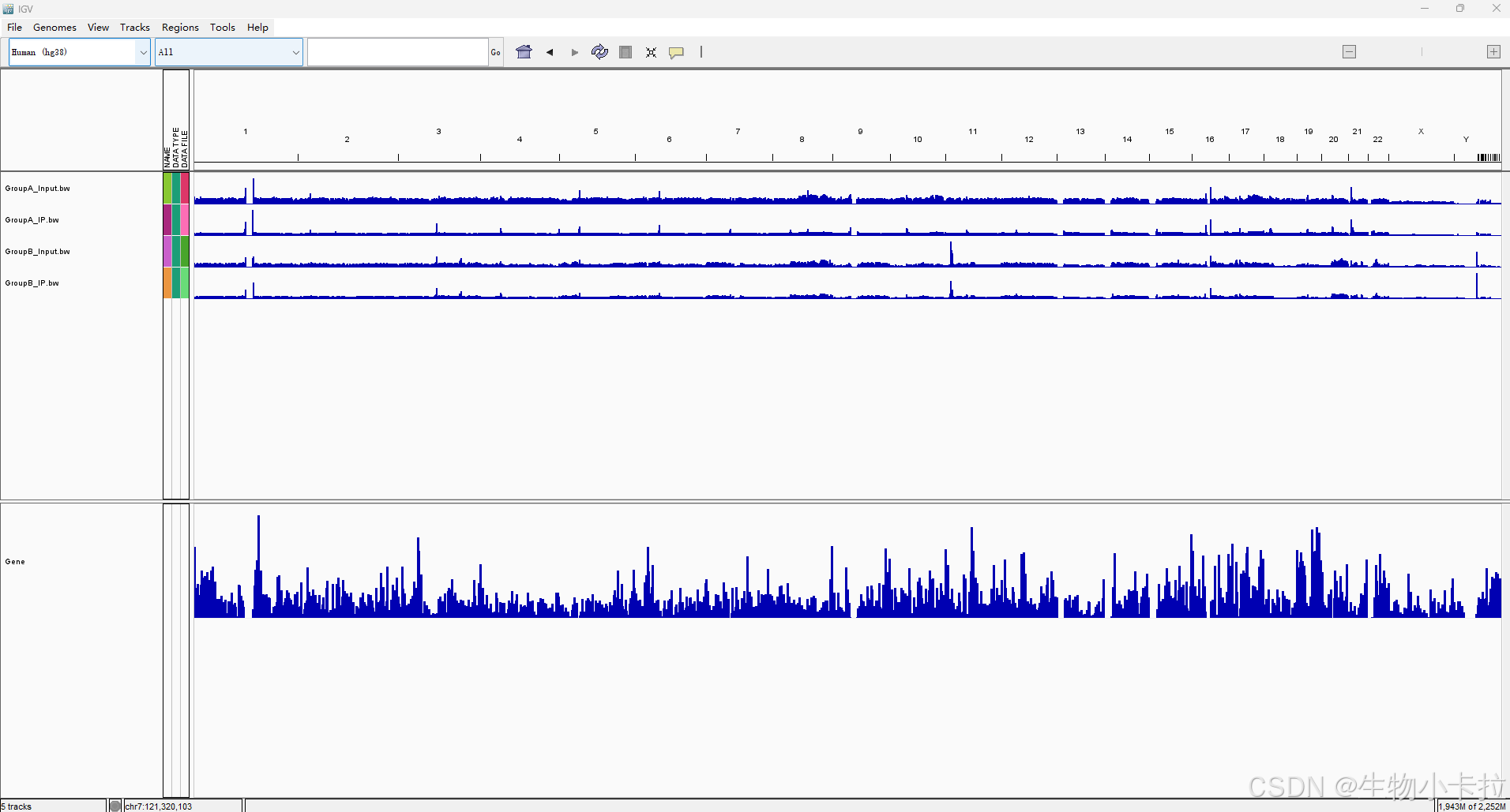 IGV软件系列--peak可视化 -CSDN博客