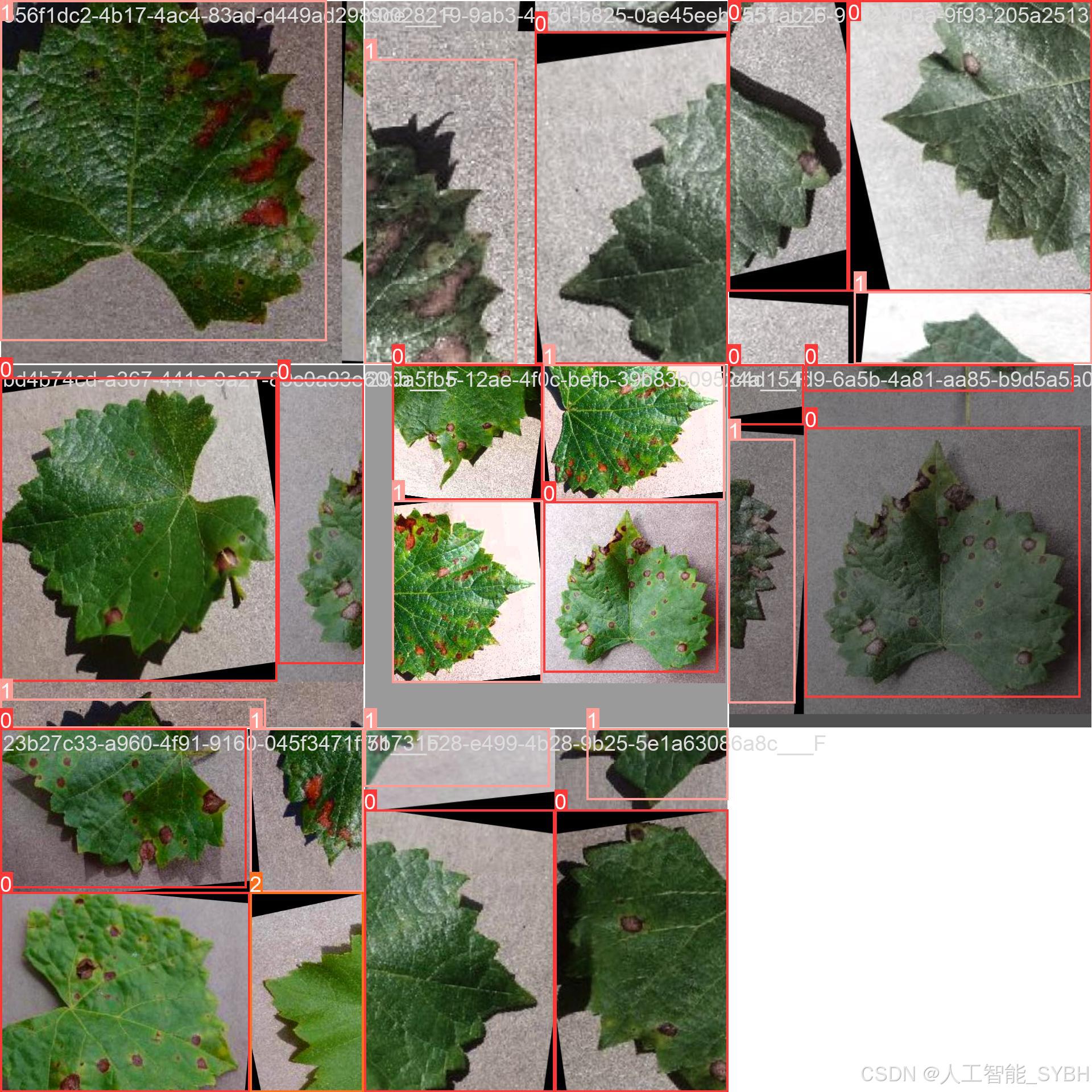 基于深度学习YOLOv10的葡萄叶片病害检测系统（YOLOv10+YOLO数据集+UI界面+Python项目源码+模型）_基于深度学习的葡萄叶部病害图像分类系统-CSDN博客