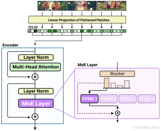 Vision-MoE图像分类的实现_vision moe-CSDN博客