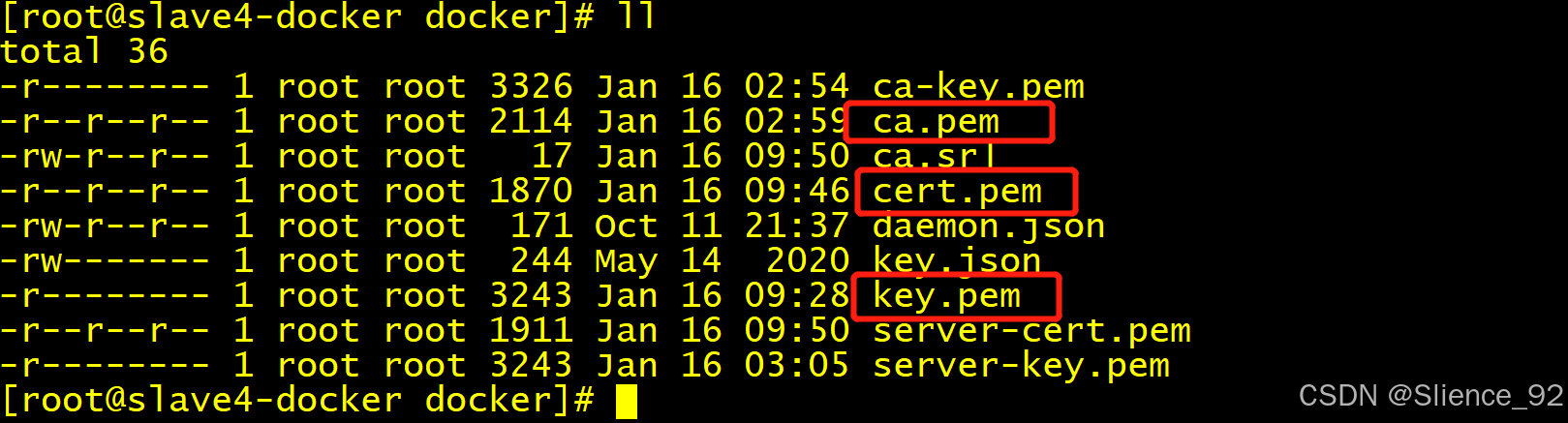Docker_CA认证原理及配置_docker ca-CSDN博客