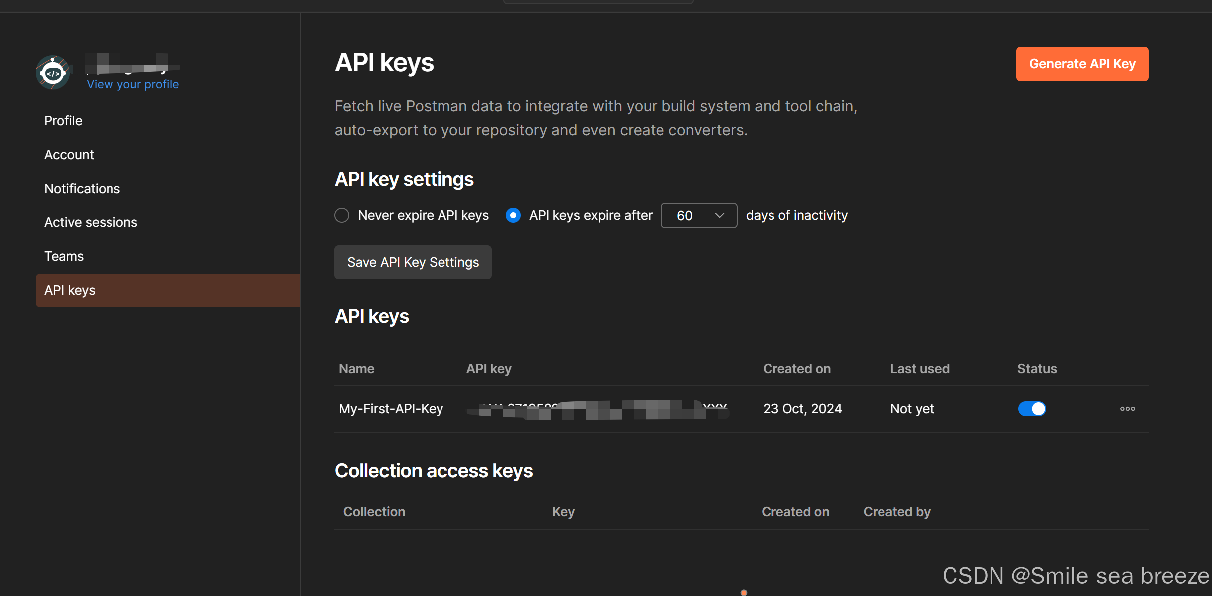 Postman 中生成 API 密钥（Postman API Key）的实现步骤_postman apikey-CSDN博客