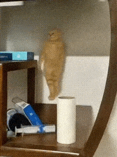 【Docker】Error response from daemon，Docker 拉取 openjdk8 的镜像异常-CSDN博客