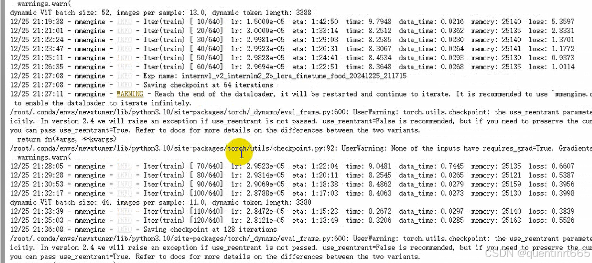 InternVL 部署微调实践_internvl github-CSDN博客