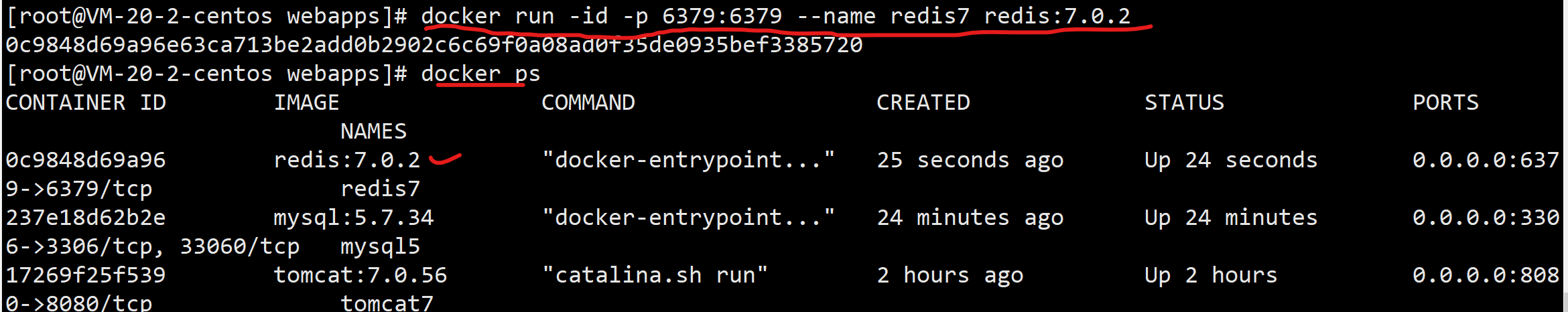redis配置---docker搭建nginx mysql redis_nginx配置redis-CSDN博客
