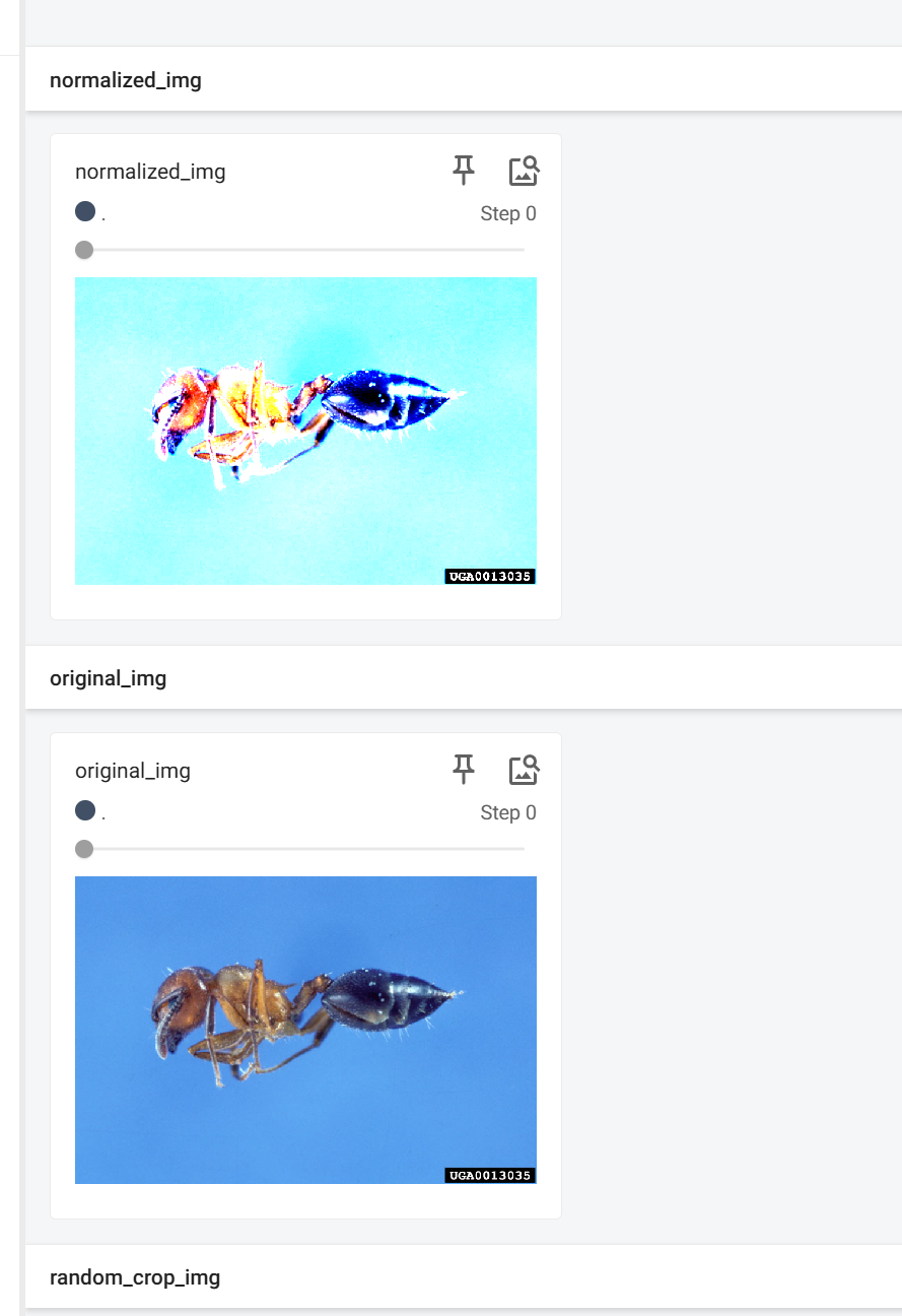 重生学AI第十一集:Resize、RandomCrop和Compose学习-CSDN博客