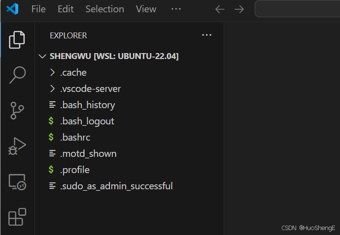 Win11使用vscode配置Ubuntu WSL并自定义home路径_windows11 wsl vscode-CSDN博客
