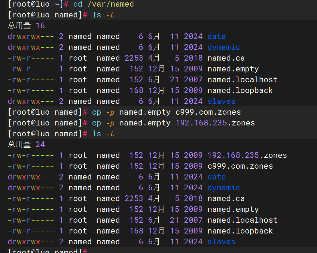 Linux操作系统----DNS服务管理-CSDN博客