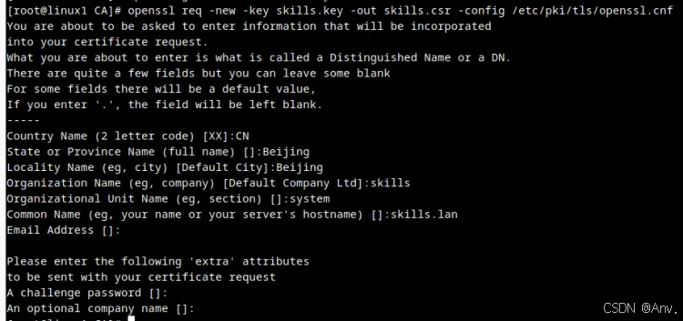 CA服务。_配置linux1为ca服务器,为linux主机颁发证书。证书颁发机构有效期10年,公用名为lin-CSDN博客