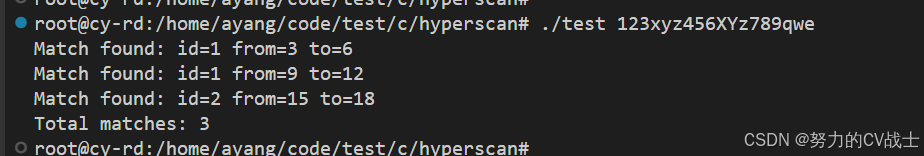 Hyperscan-正则匹配-CSDN博客
