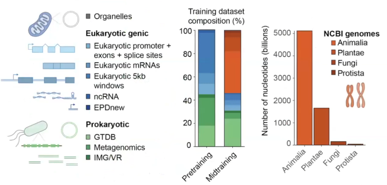 Evo2 论文讲解_基因 模型 evo2-CSDN博客