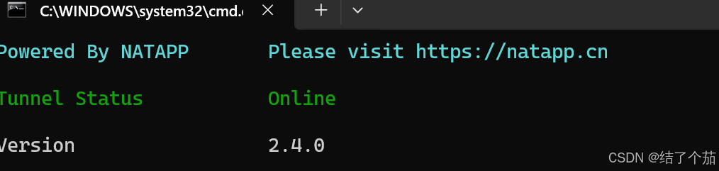 【natapp】windows启动_natapp启动-CSDN博客