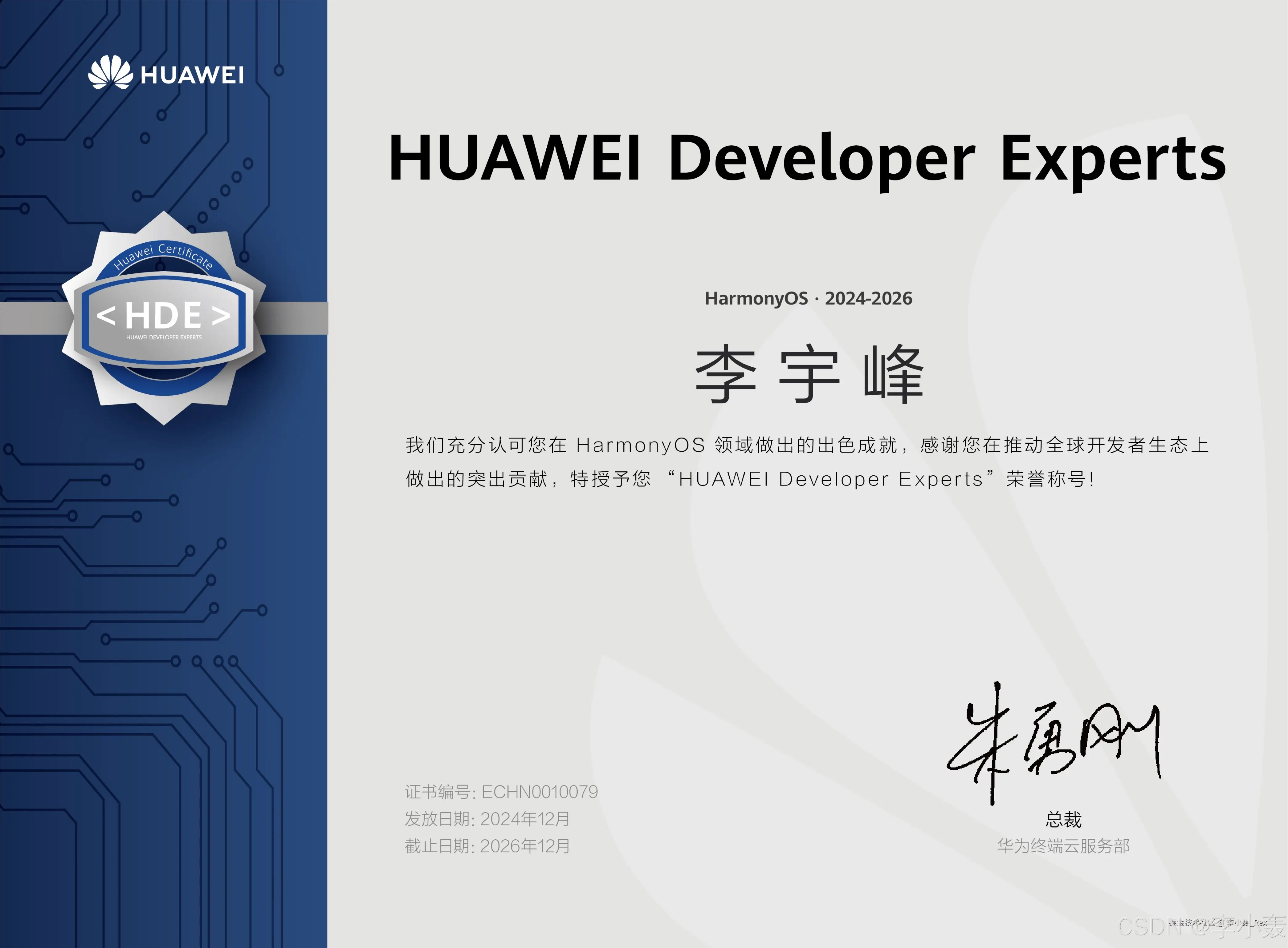 从入门实践到成为华为开发者专家（HDE），给初学者的学习建议_华为hde-CSDN博客