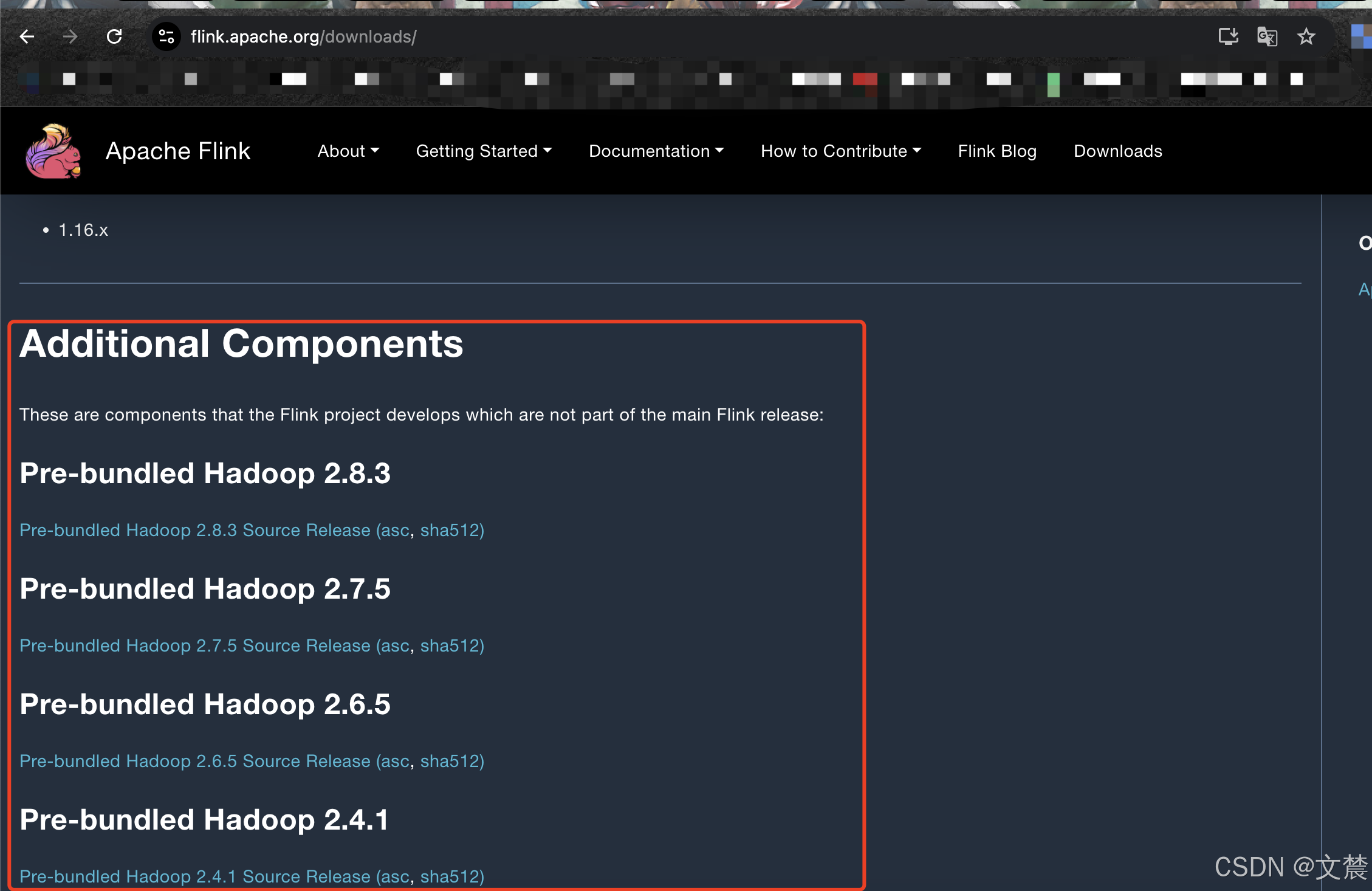 Flink 如何部署在没有Hadoop的机器上_flink需要hadoop环境吗-CSDN博客