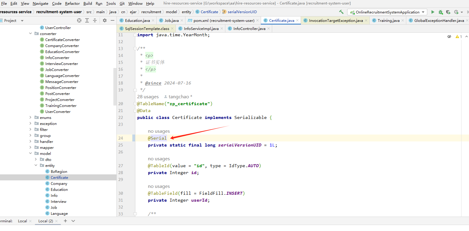 @Serial注解导致编译失败-----灵异事件_midou.mybatisplus.core.override.mybatismappermetho-CSDN博客