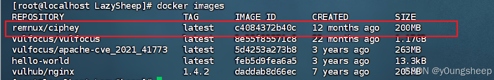 CTF实用工具-Ciphey docker部署安装-CSDN博客