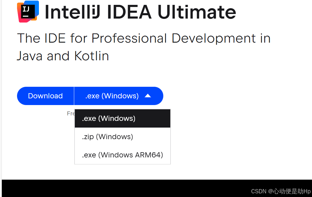 IDEA下载安装和使用_intellij idea 2024.3.5-CSDN博客