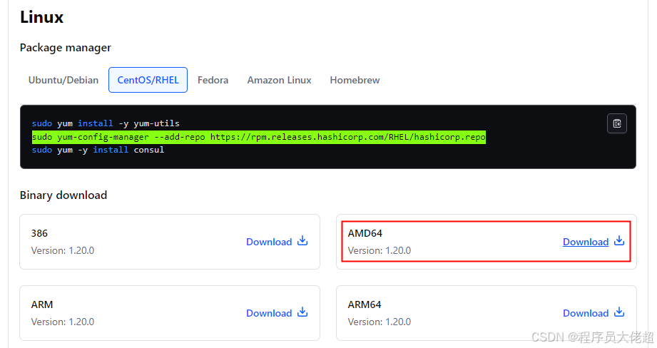 Consul微服务配置中心部署（离线安装）_linux离线安装consul-CSDN博客