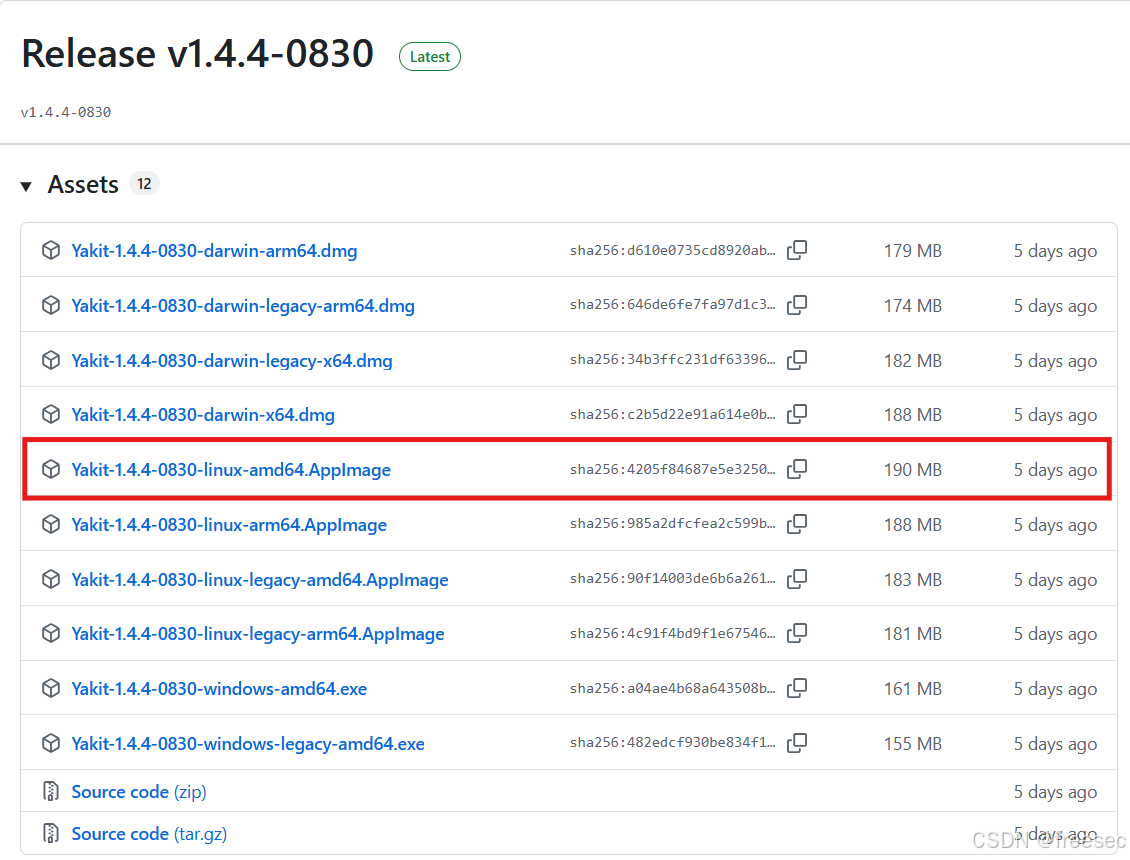 Kali安装配置Yakit_kali安装yakit-CSDN博客