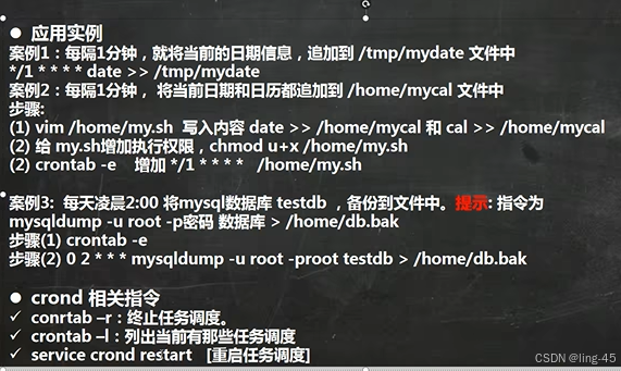 Linux-day04-CSDN博客