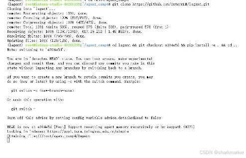 书生大模型实战营-进阶岛第2关（L2G2000）-CSDN博客