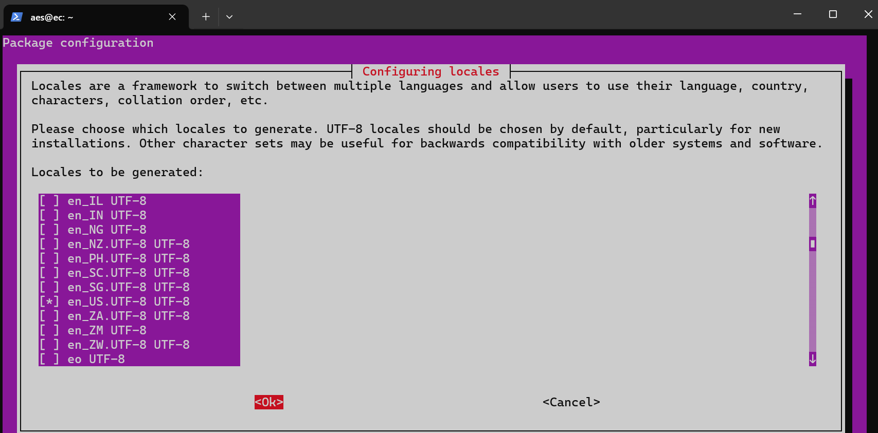 WSL安装Vitis2025.1_vitis 2025 安装后处理失败-CSDN博客