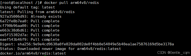 麒麟系统（arm64/aarch64）使用docker离线部署jdk1.8， nginx，redis，以及java项目_docker arm jdk-CSDN博客