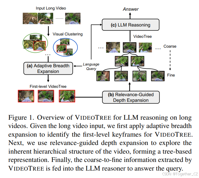 VideoTree: Adaptive Tree-based Video Representation for LLM Reasoning on Long Videos长视频语言模型推理自适应 ...