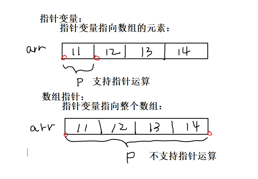 C语言 数组指针 （数组指针）（指针数组）c语言指针指向数组中的数据 Csdn博客