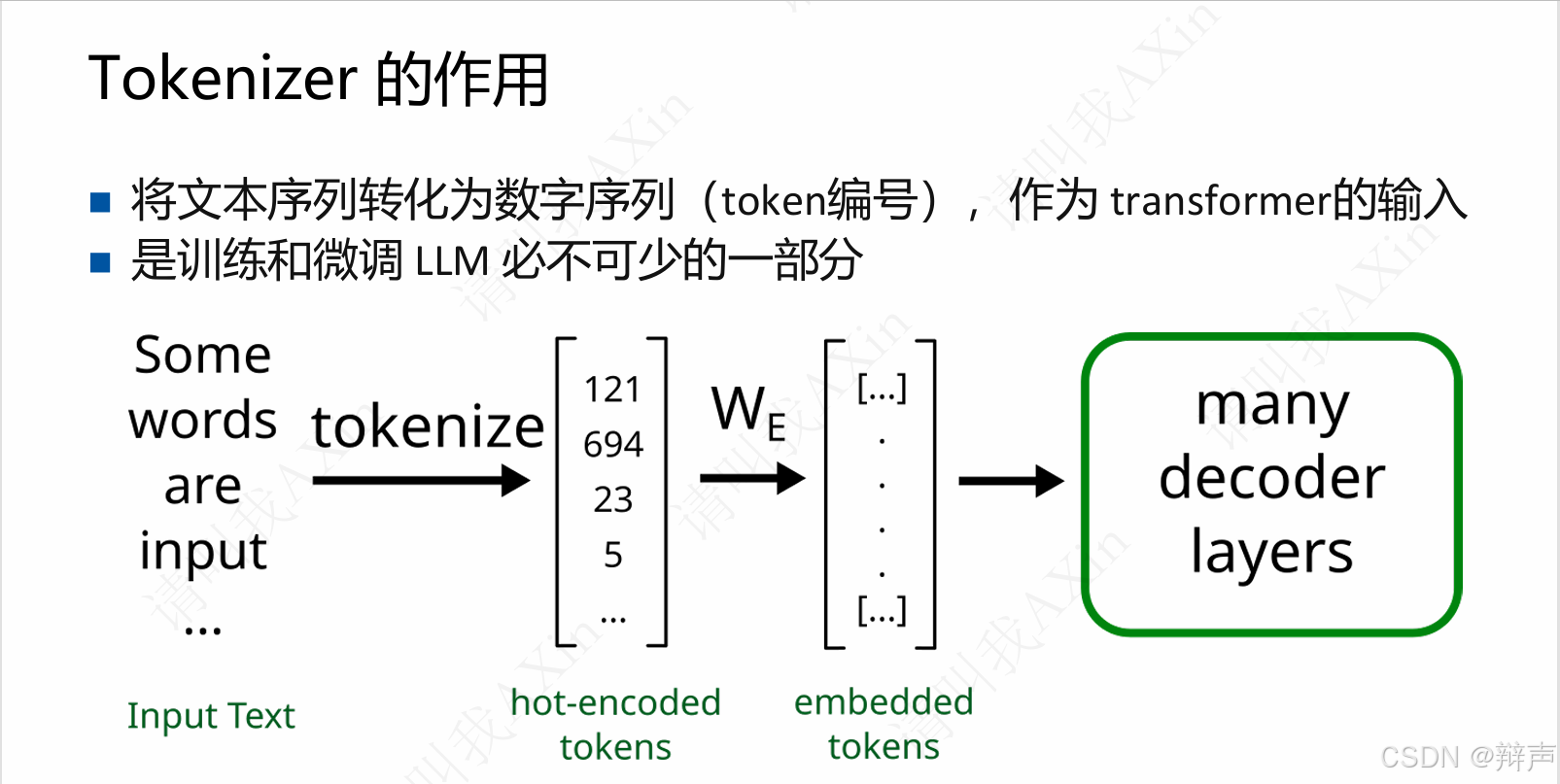 大语言模型LLM基础之Tokenizer_语言模型_辩声-2048 AI社区